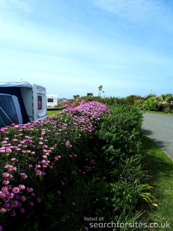 Mother Iveys Bay Holiday Park