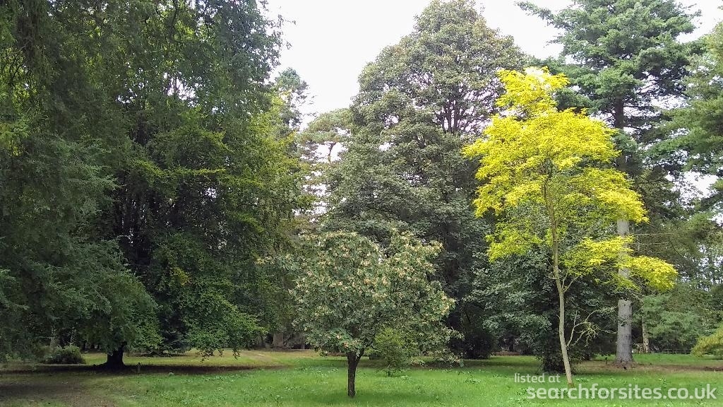 Lynford Arboretum