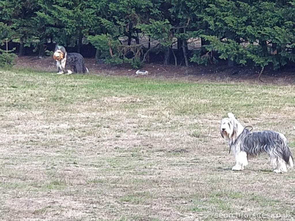 Cold Harbour Farm Bungalow