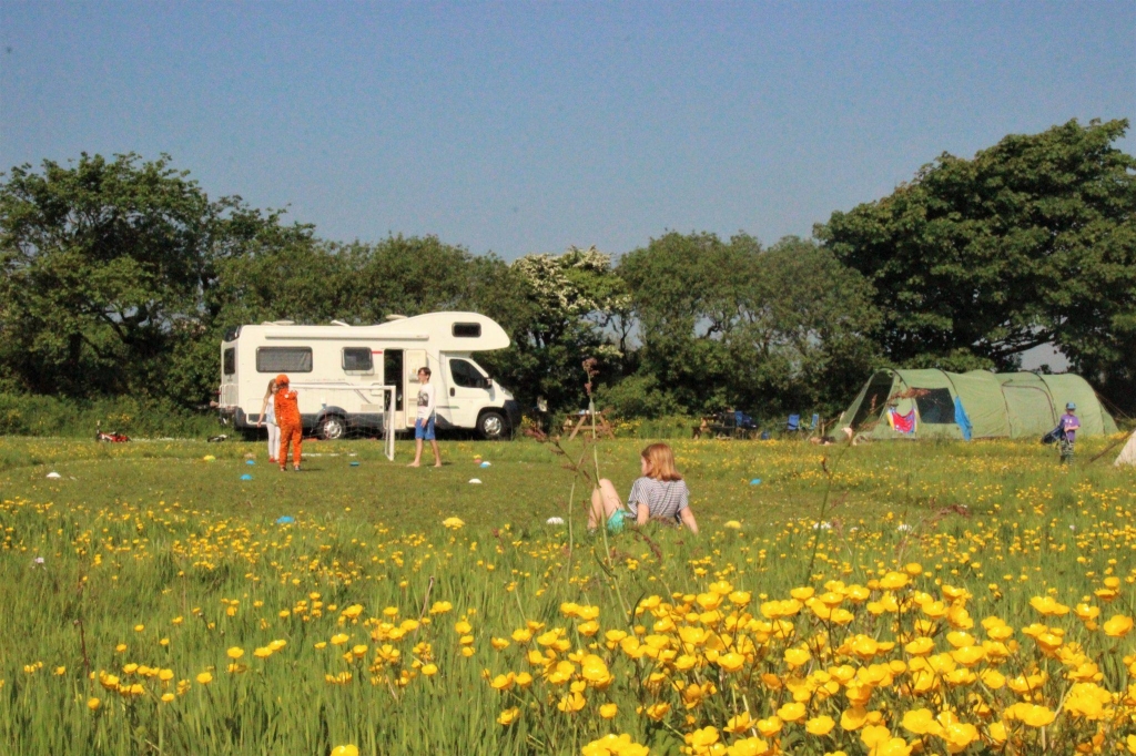 Stackpole under the Stars