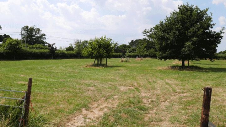Netherton Farm