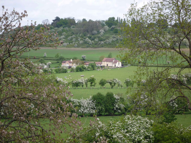 Rectory Farm