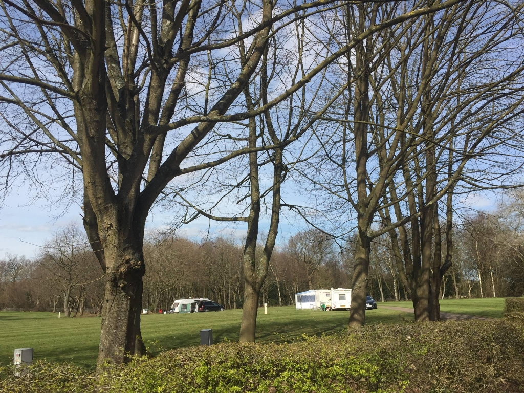 Oak View Holiday Park