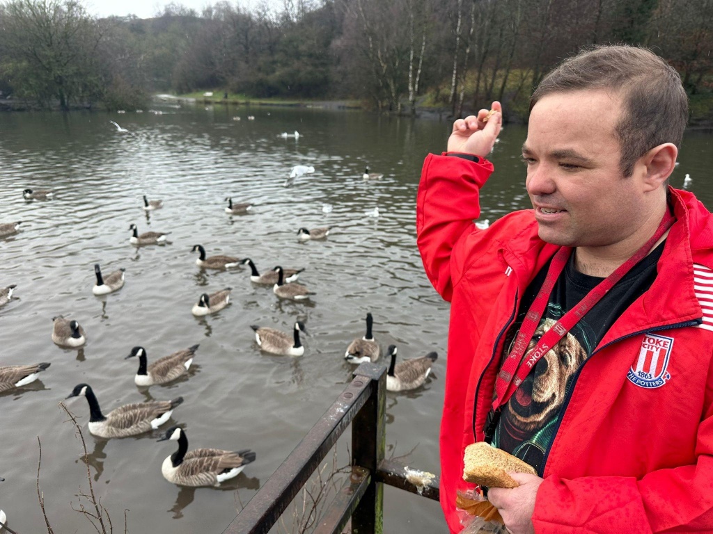 Lay-bys by Trentham Gardens south entrance.