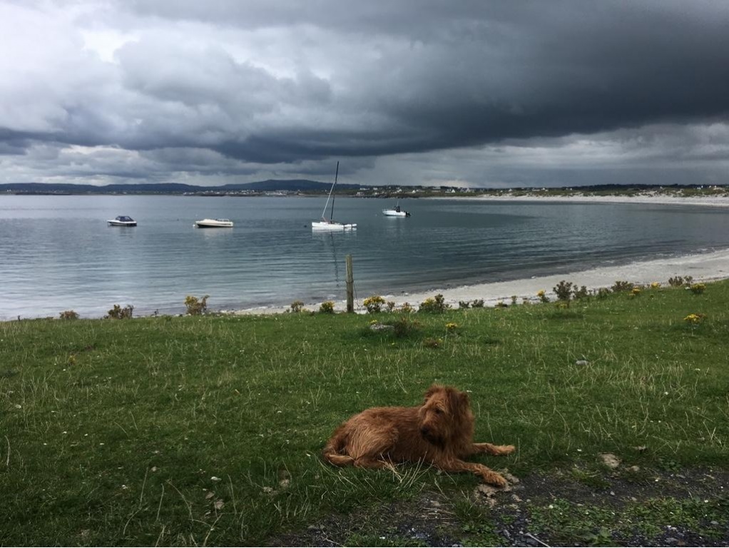 Seafield Pier Quilty