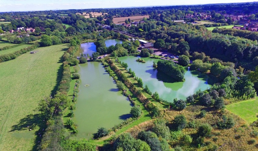 Lavender Hall Fishery