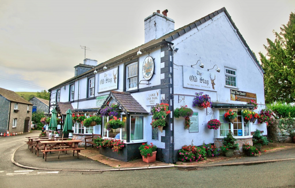 The Old Stag