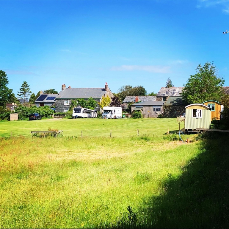 Hall Barton Organic Farm