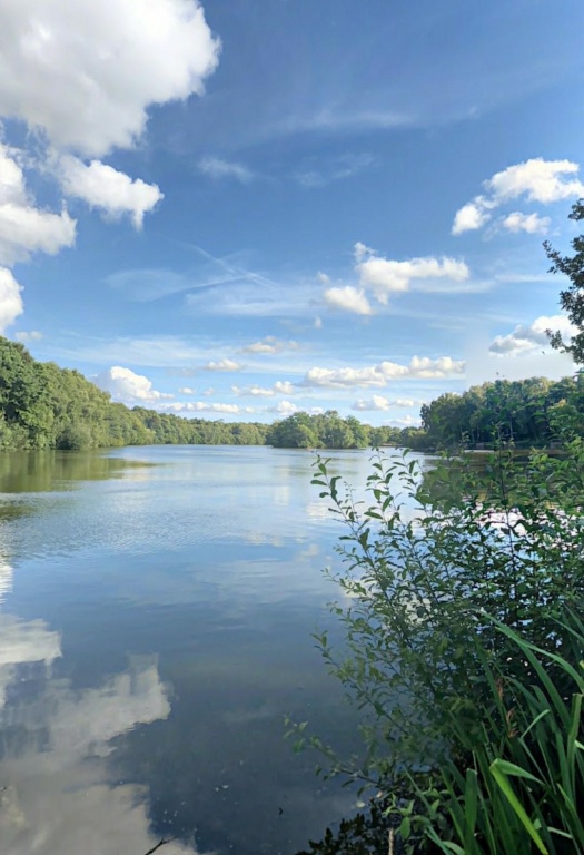 Shakerley Mere Country Park