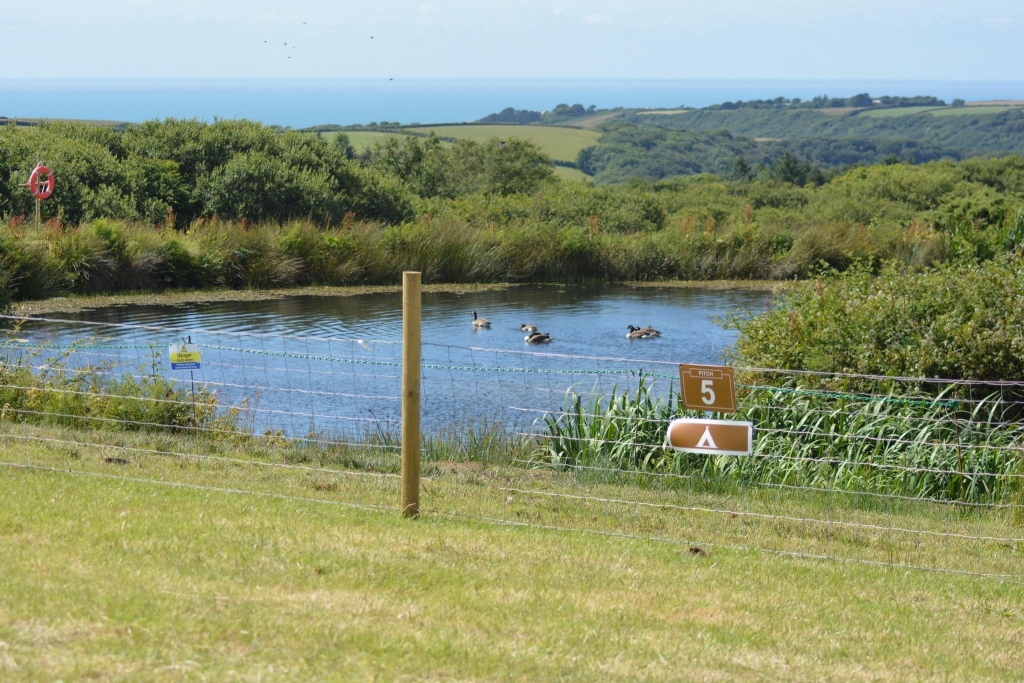 Springlakes Campsite