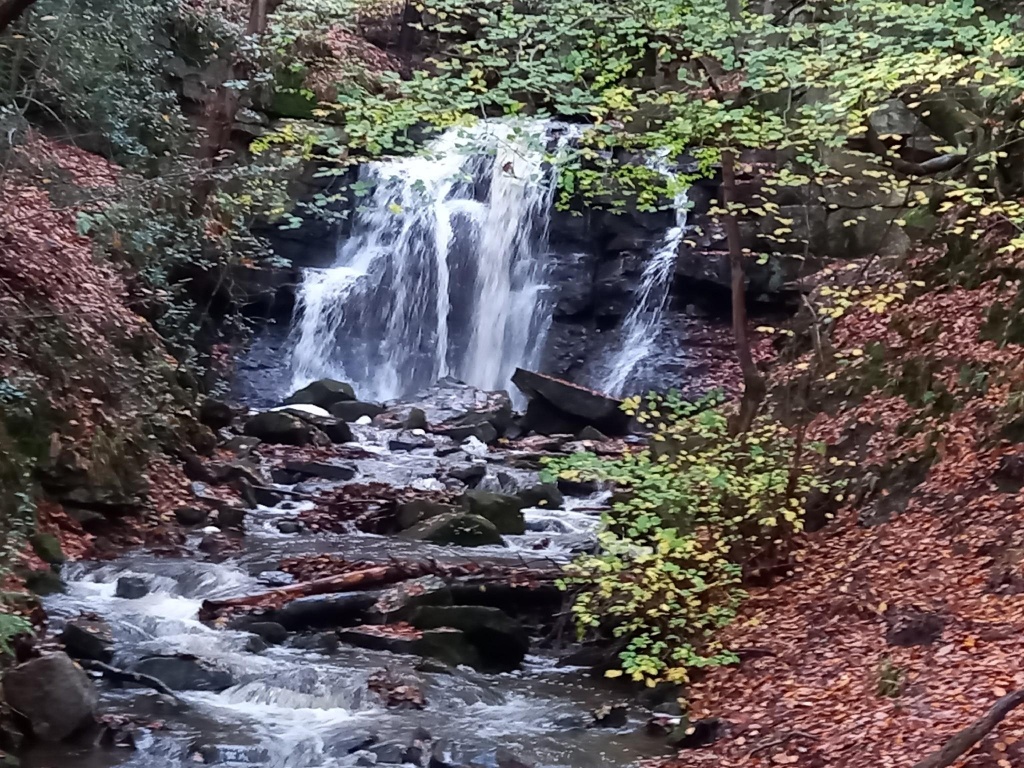 Allensford Park