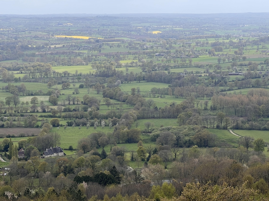 Hill 314 Mortain-Bocage