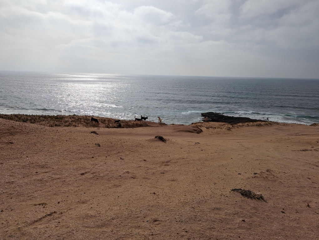 Sidi r'bat beach